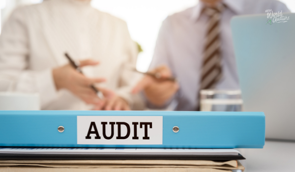 Audit Types and their Different Names?