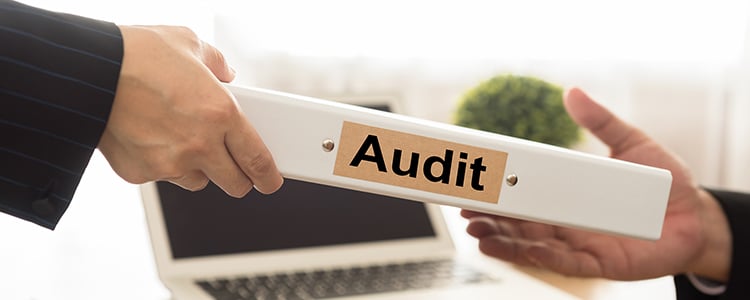 Audit Types and their Different Names?