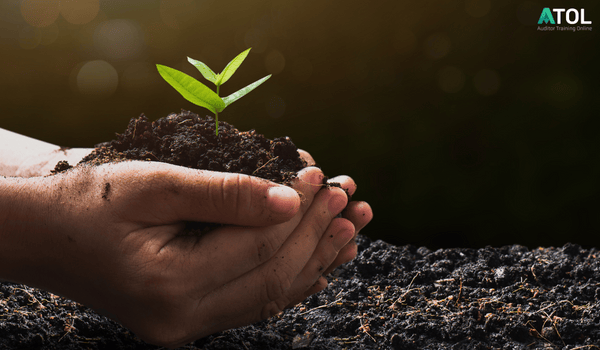 Explaining ISO 14001:2015 Clause 5.2 Environmental Policy